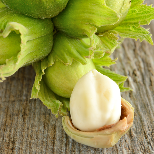 Raw Organic Hazelnuts – NUT • HUT
